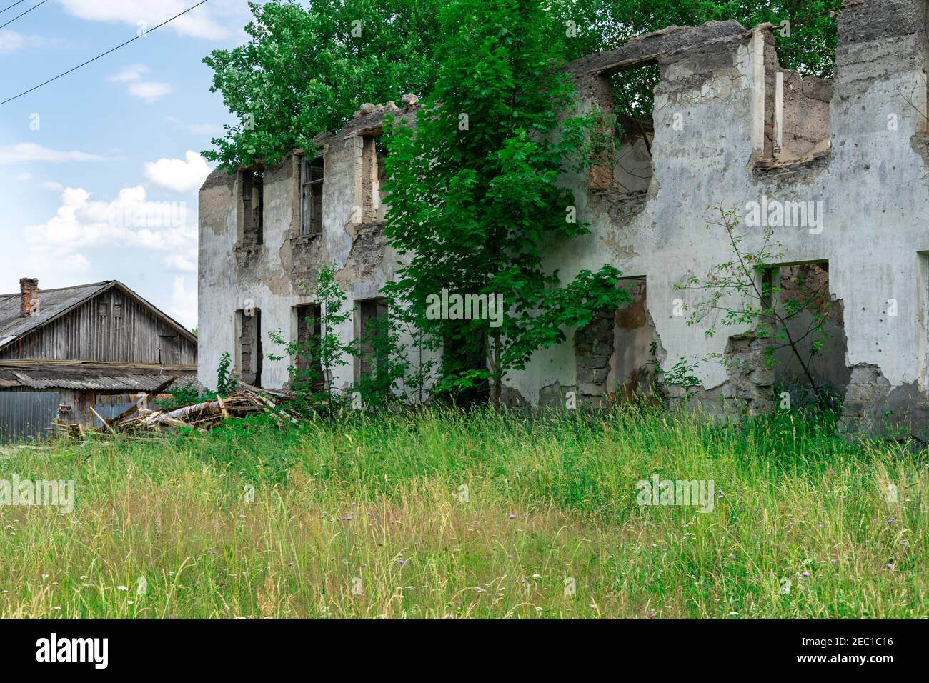 Tree growing through roof hi-res stock photography and images - Alamy