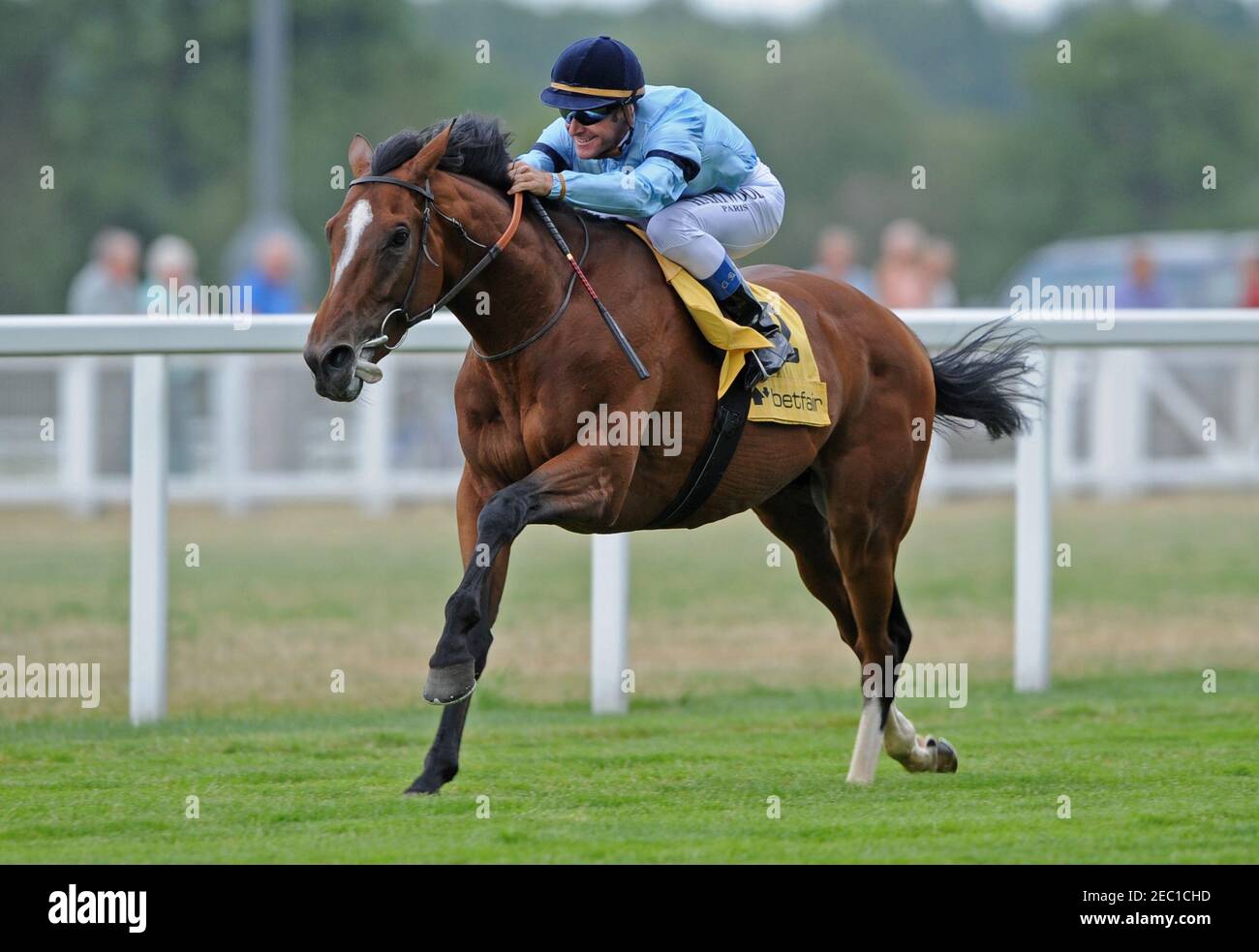 Harbinger horse hi-res stock photography and images - Alamy