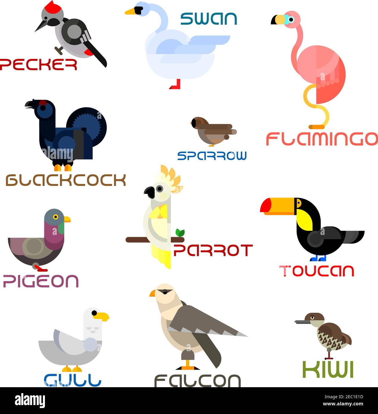 Birds Pictures With Names In English