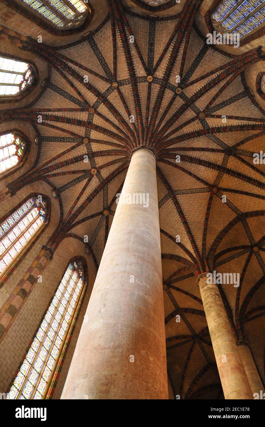 Palmier des jacobins hi-res stock photography and images - Alamy