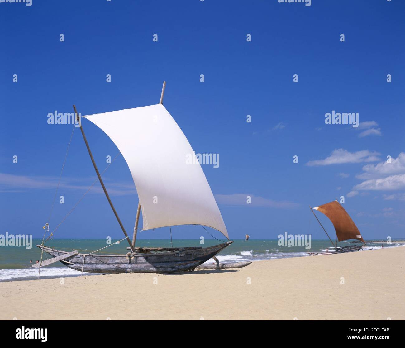 Asia, Sri Lanka, Negombo, Negombo Beach, Traditional Outrigger Fishing ...