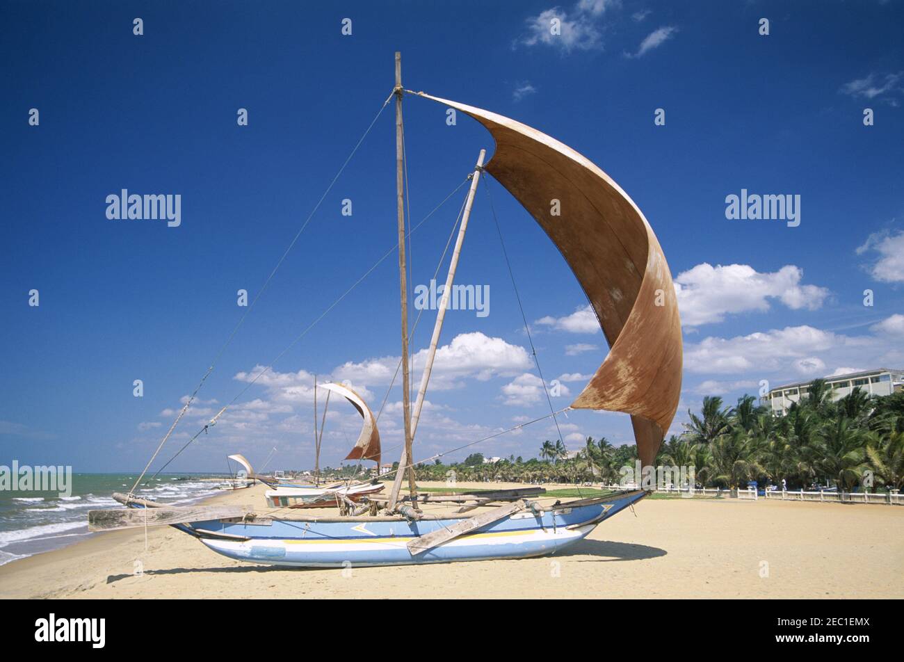 Asia, Sri Lanka, Negombo, Negombo Beach, Traditional Outrigger Fishing ...