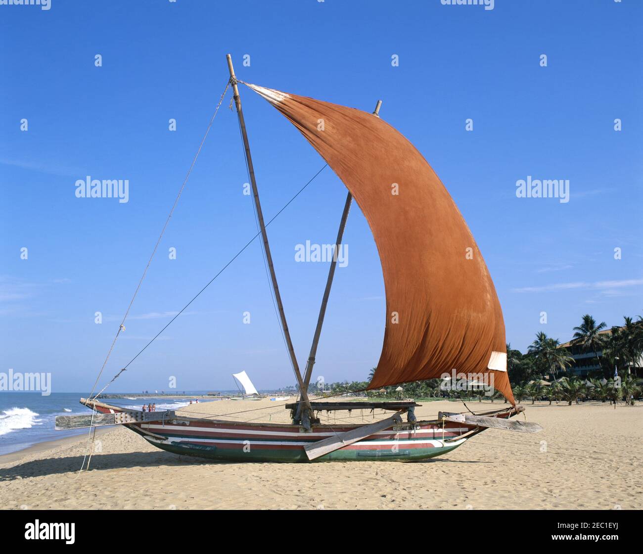 Asia, Sri Lanka, Negombo, Negombo Beach, Traditional Outrigger Fishing ...