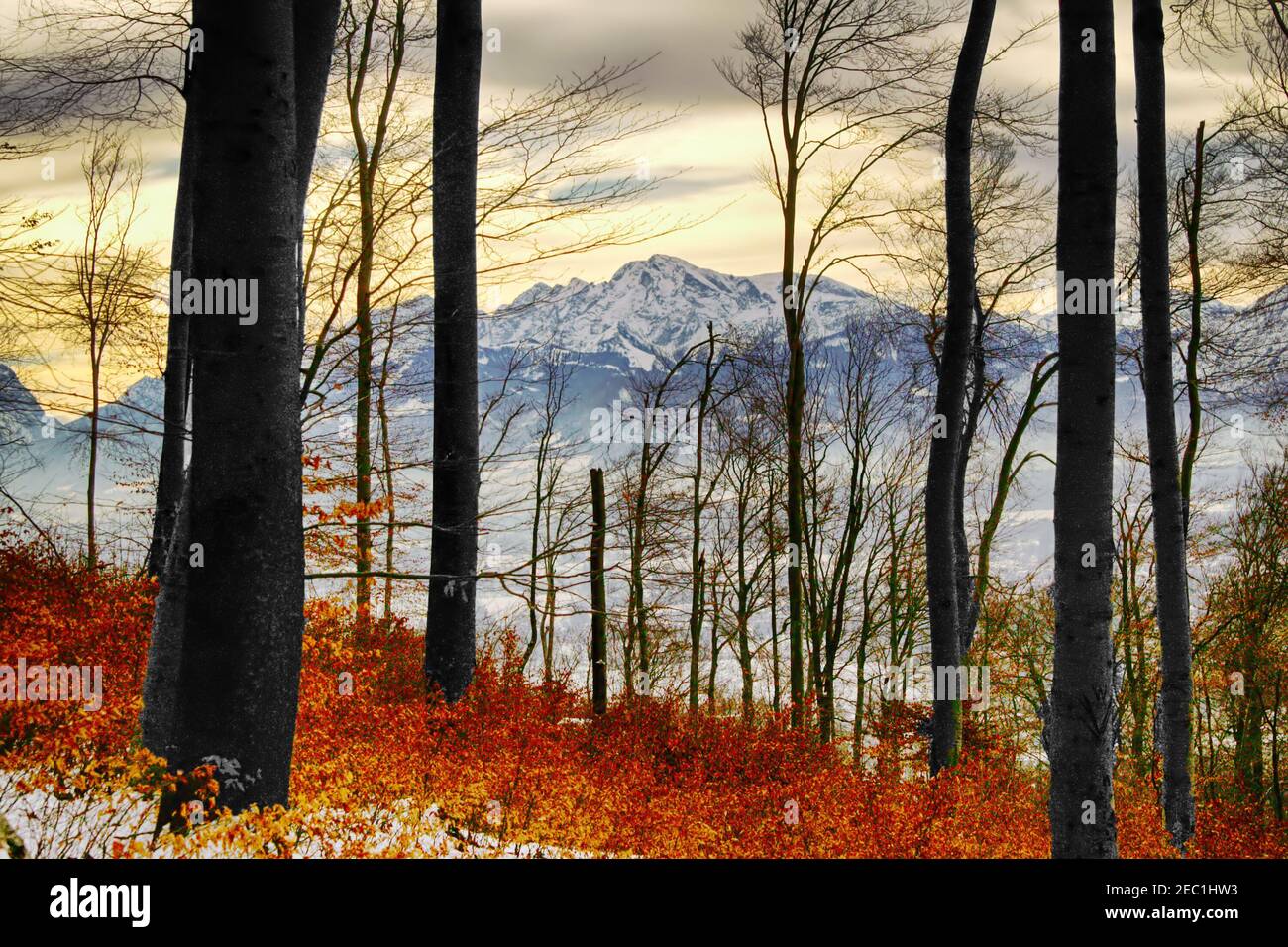 Snow covered mountains of the Austrian Alps in Salzburger Land. View ...
