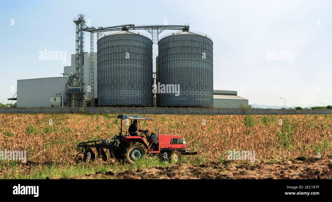 Agricultural Silos - Building Exterior, Storage and drying of grains ...