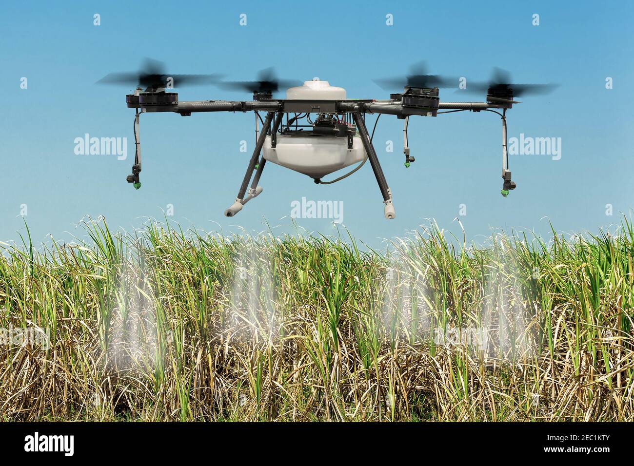 Irrigation sugarcane hi-res stock photography and images - Alamy