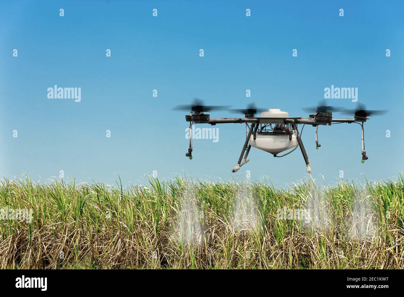 Irrigation sugarcane hi-res stock photography and images - Alamy