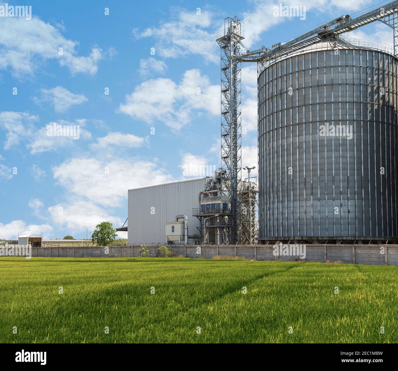 Agricultural Silos - Building Exterior, Storage and drying of grains ...