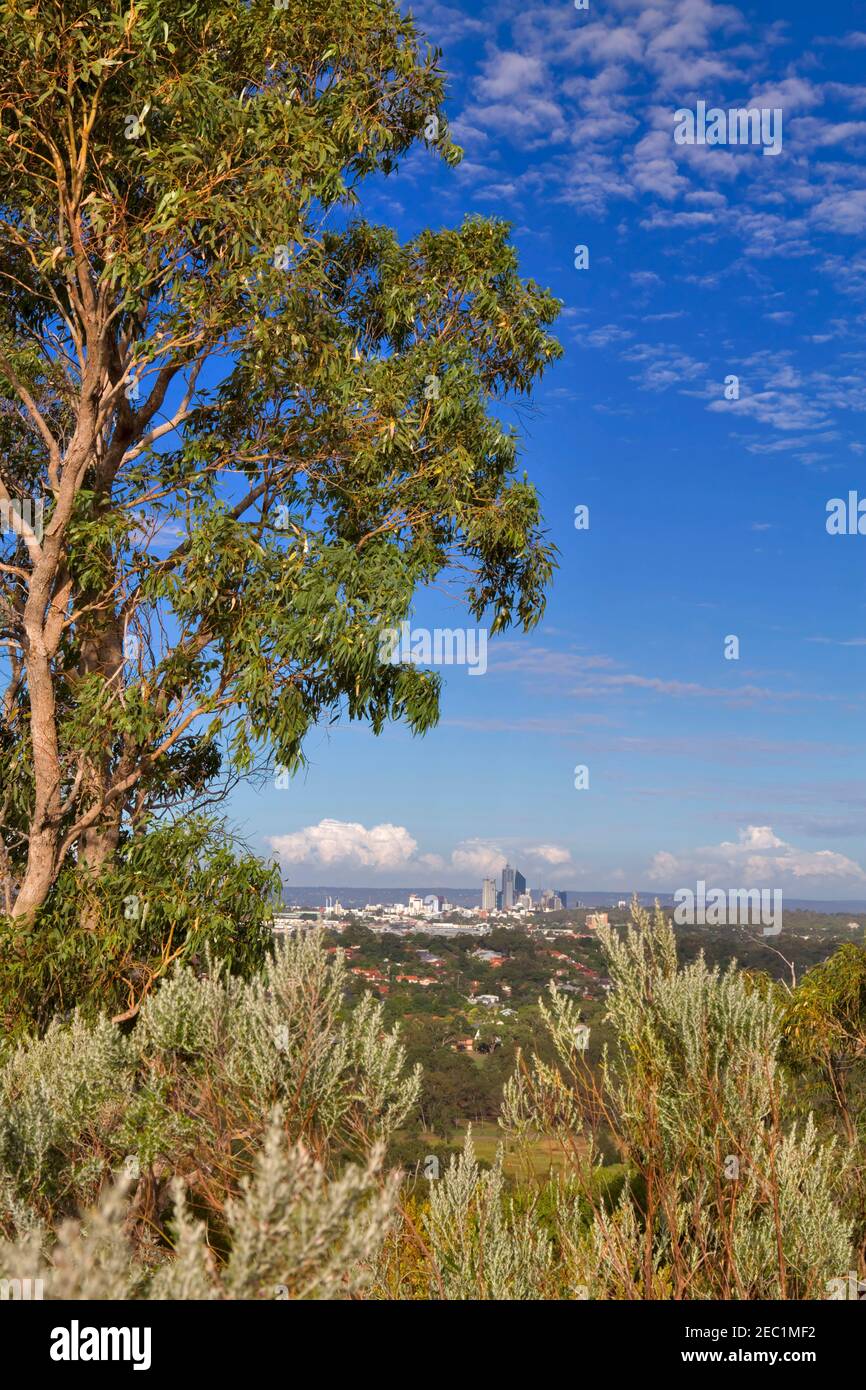 Downtown skyline in the distance from the hilltop in Bold Park, Perth ...