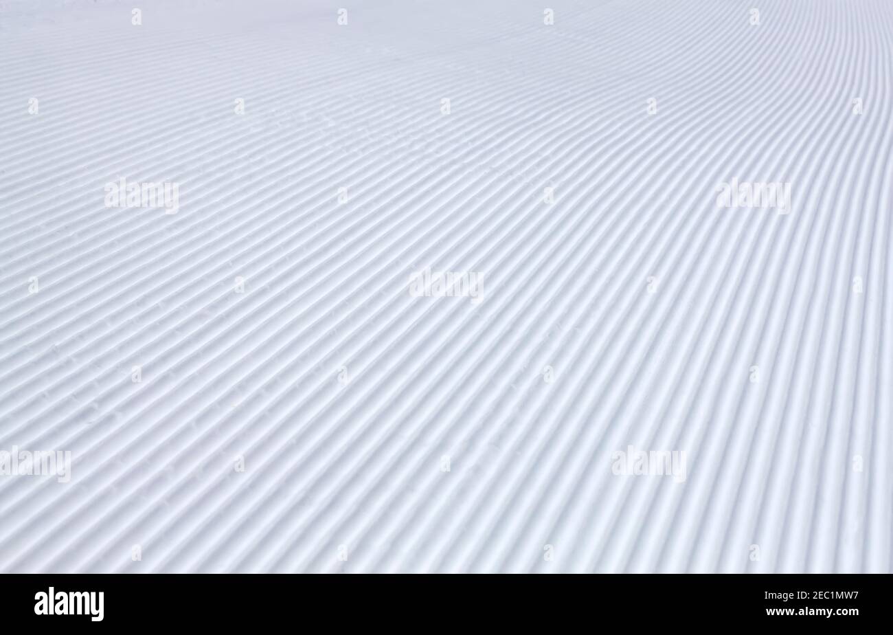 The rolled and groomed ski slope, rilled snow background texture in ...