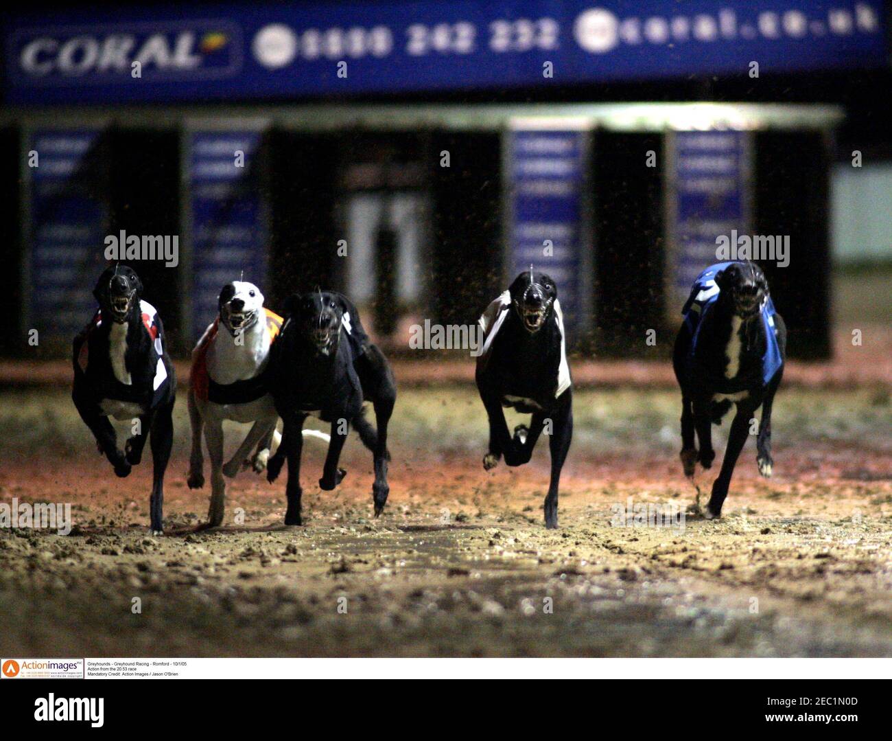 Romford greyhound racing hi-res stock photography and images - Alamy