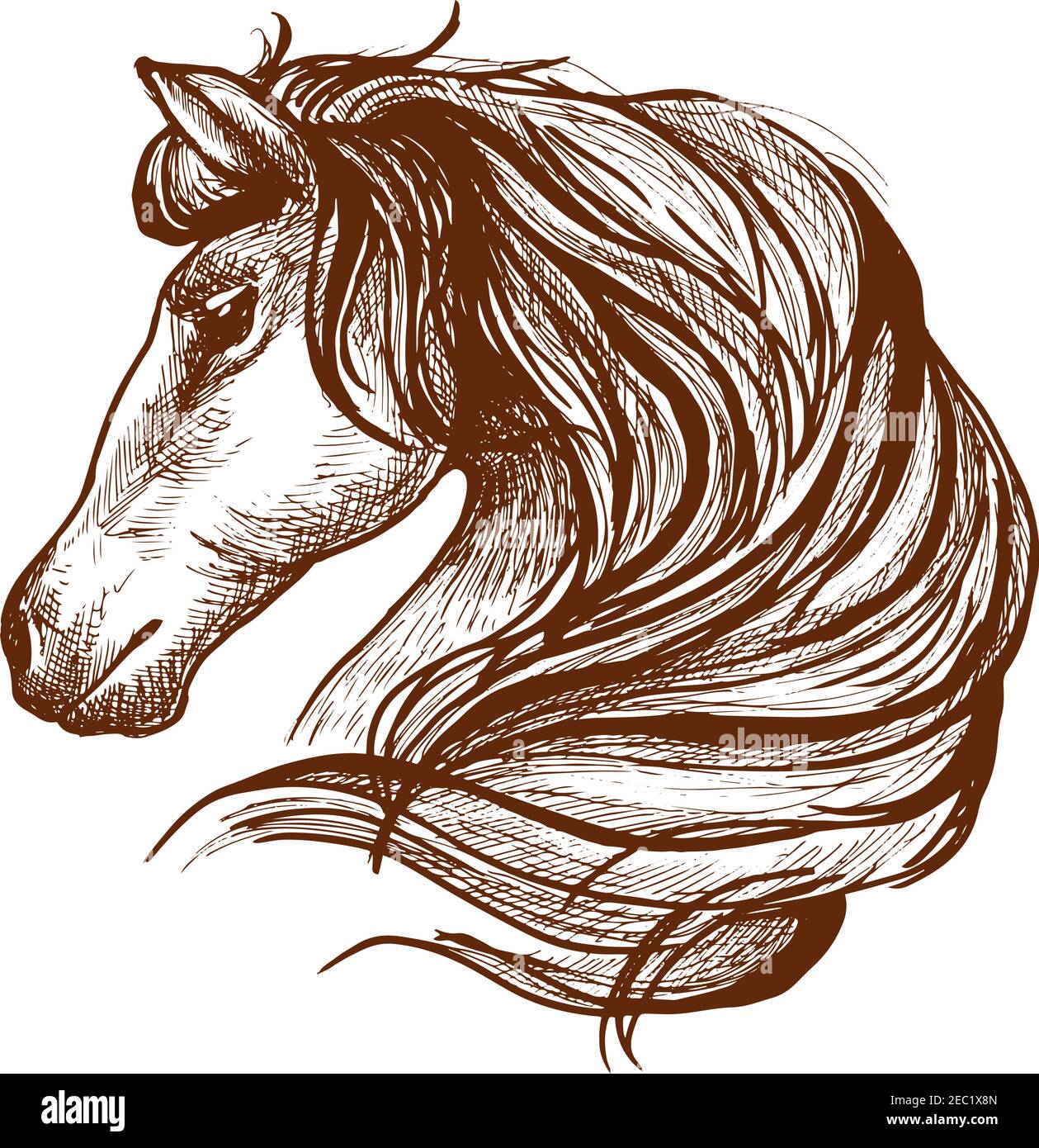 Graceful horse engraving sketch icon with profile of purebred stallion ...