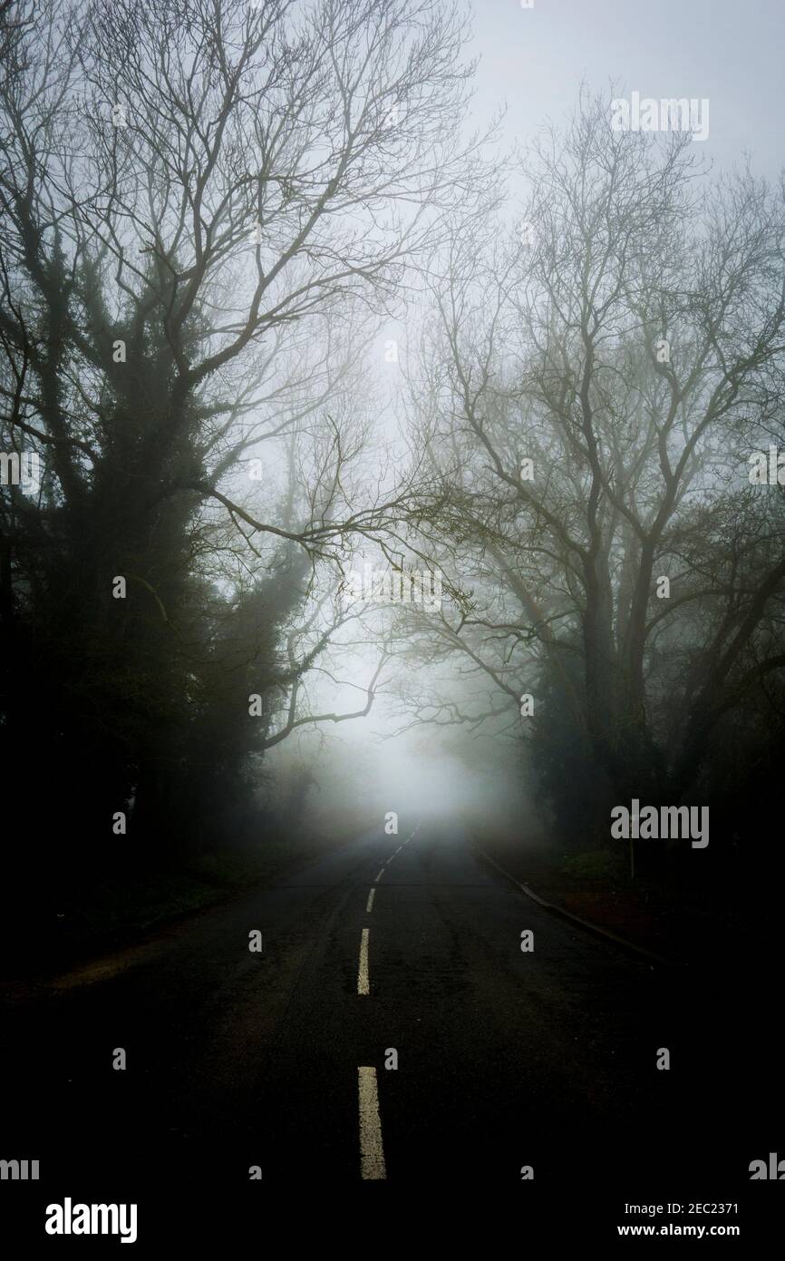 Haunted road hi-res stock photography and images - Alamy