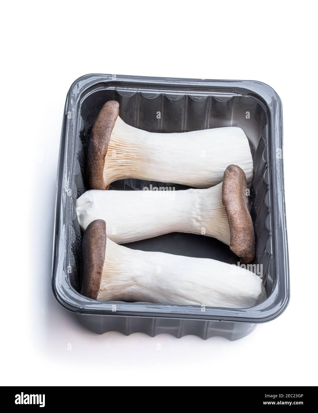 King Oyster mushroom in plastic container isolated on white Stock Photo ...