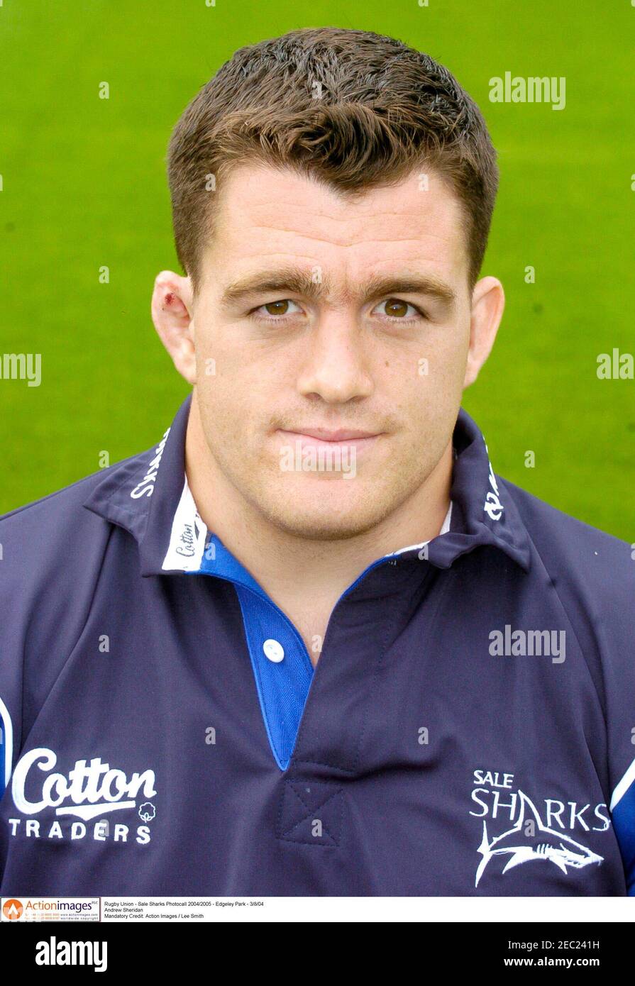 Sale Sharks Photocall High Resolution Stock Photography and Images - Alamy