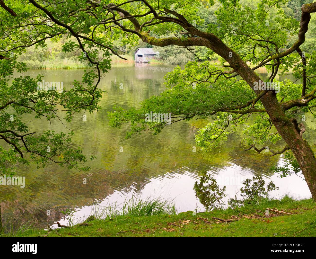 Rydal Water, Lake District, Cumbria Stock Photo - Alamy