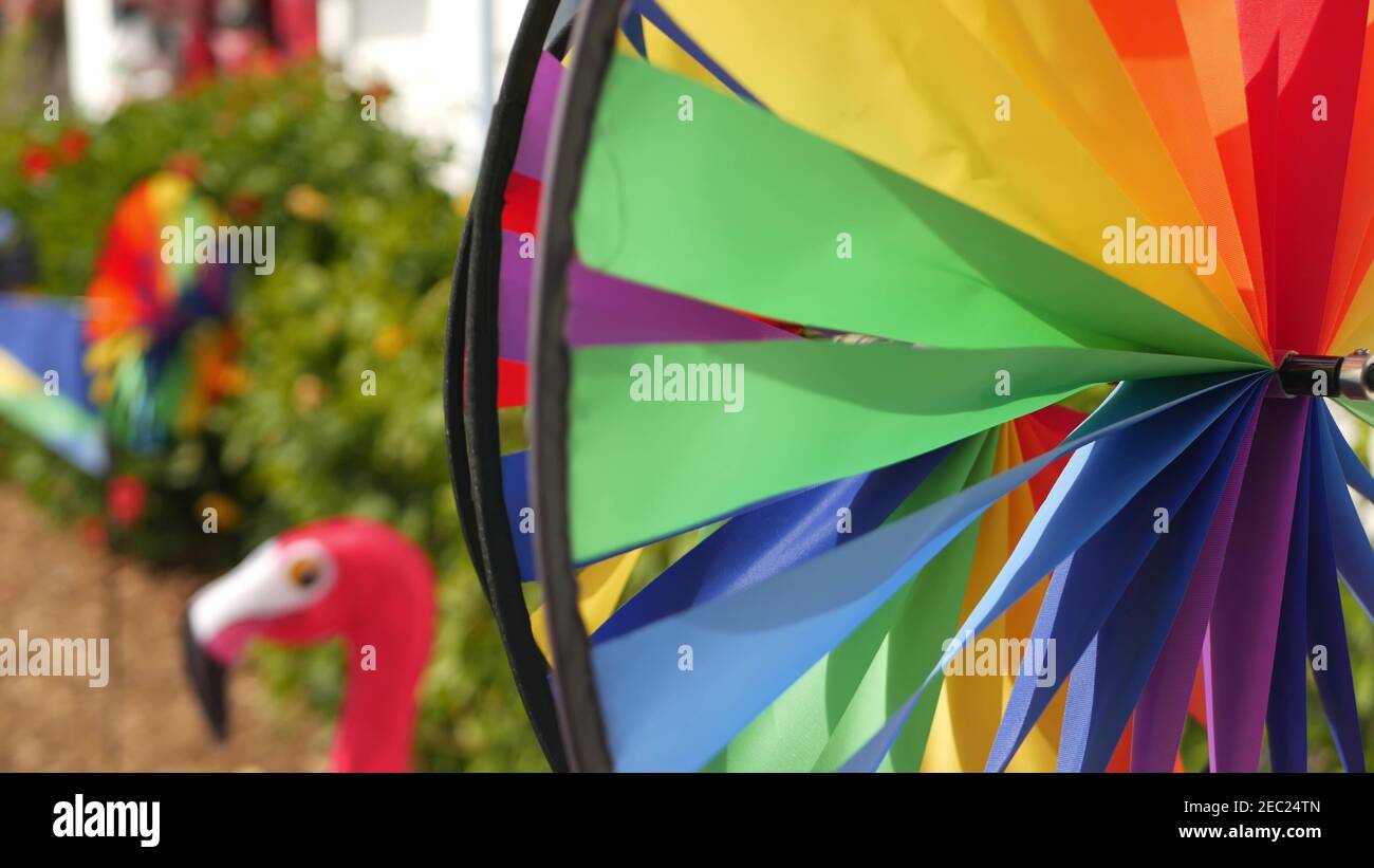 Colorful pinwheel spinning, weather wind vane, garden decoration in USA ...