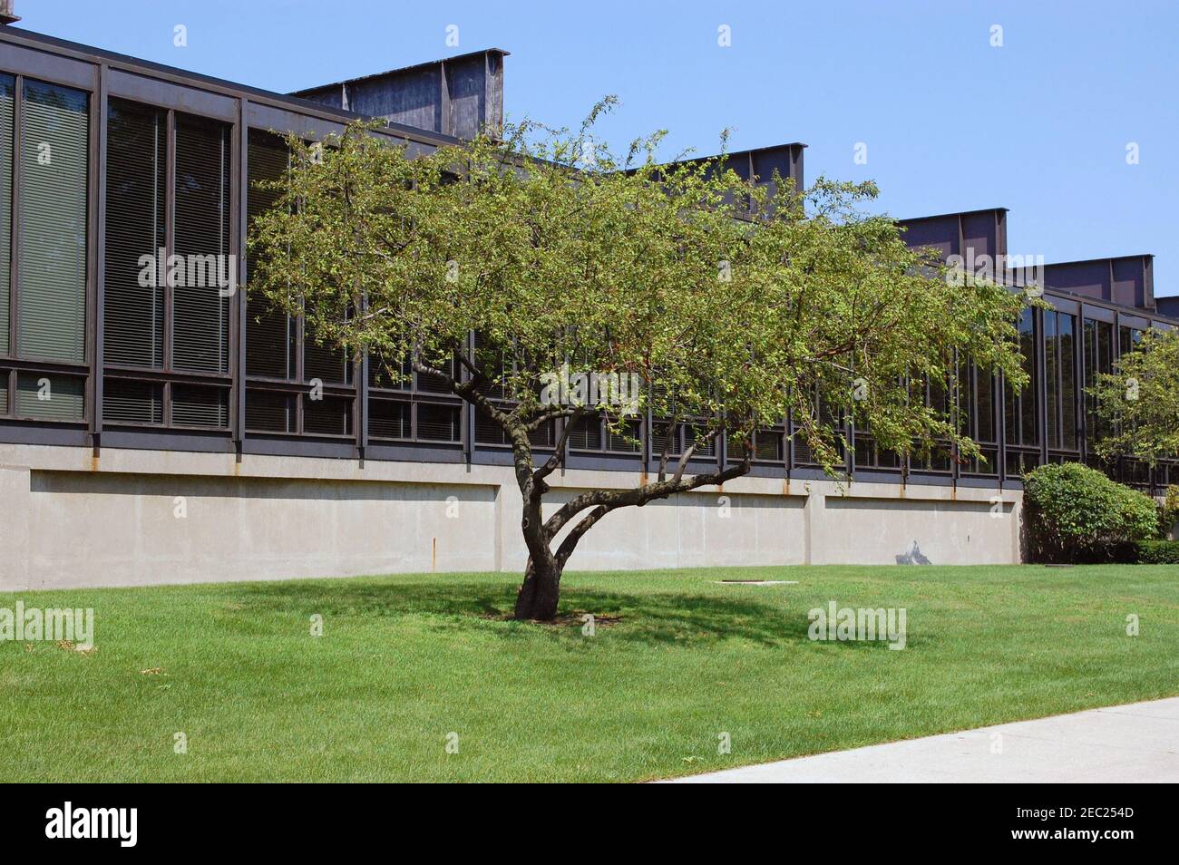 Illinois institute of technology hi-res stock photography and images ...