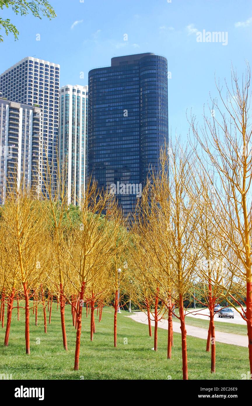 Painted trees hi-res stock photography and images - Alamy