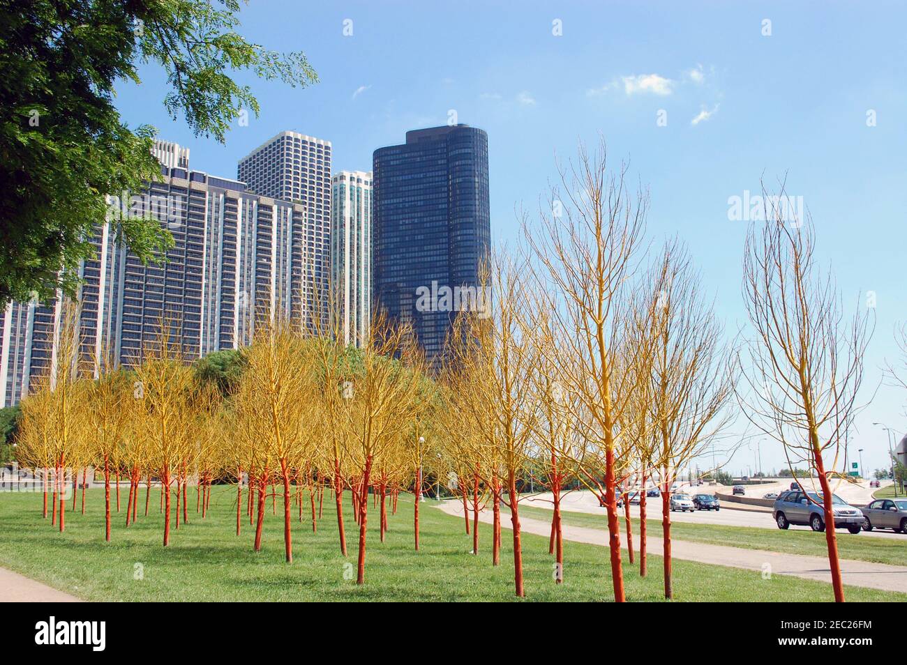 Painted trees hi-res stock photography and images - Alamy