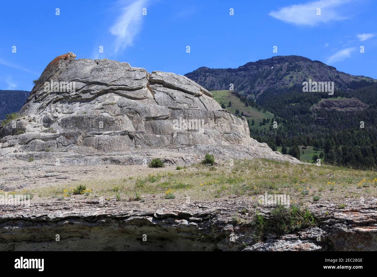 Soda Butte, Yellowstone National Park, Wyoming Stock Photo - Alamy