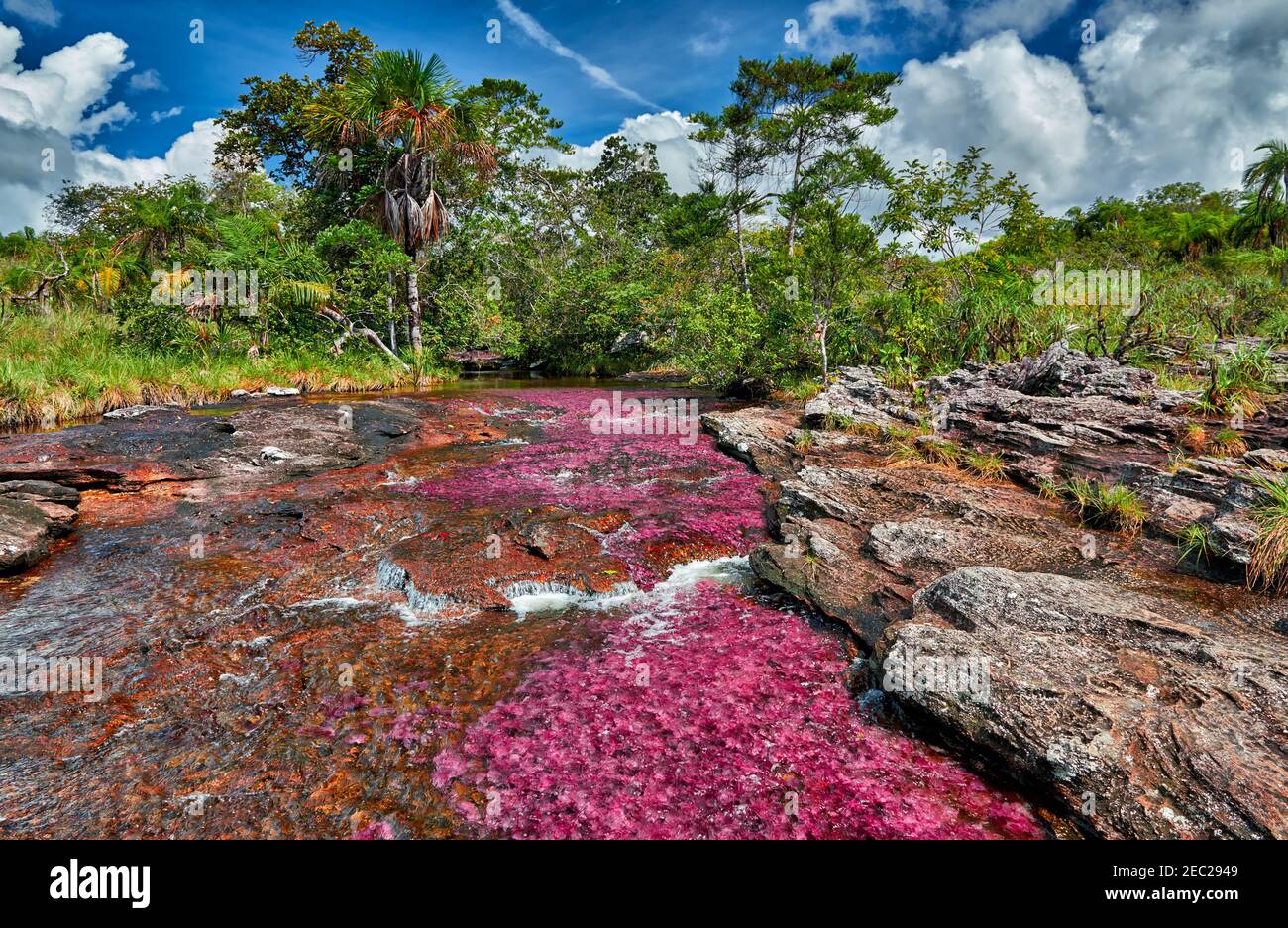 The River Of Five Colors