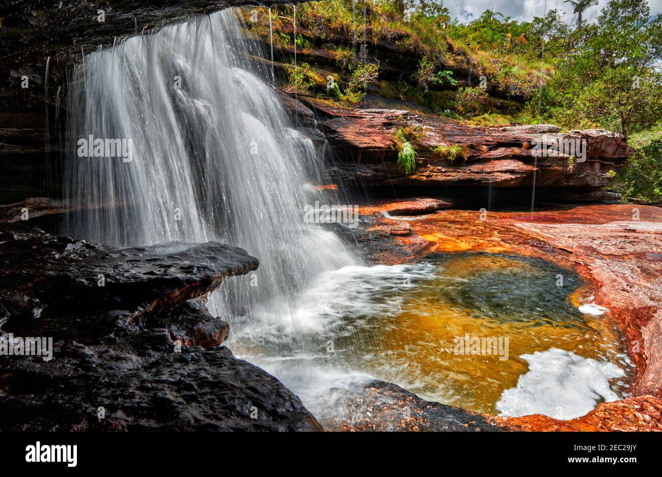 Cano Cristales called the "River of Five Colors" or the "Liquid Rainbow ...
