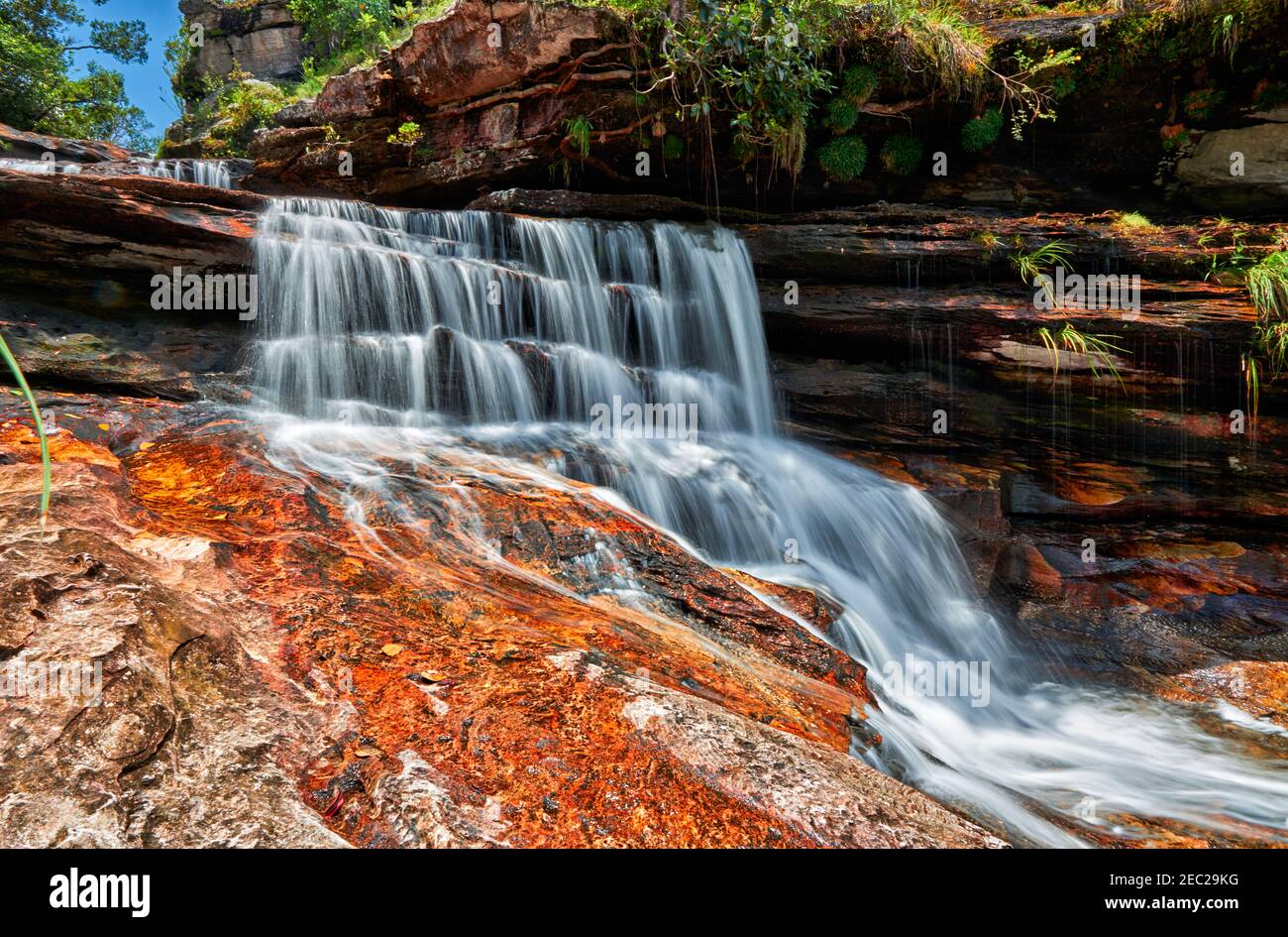 Cano Cristales called the "River of Five Colors" or the "Liquid Rainbow ...