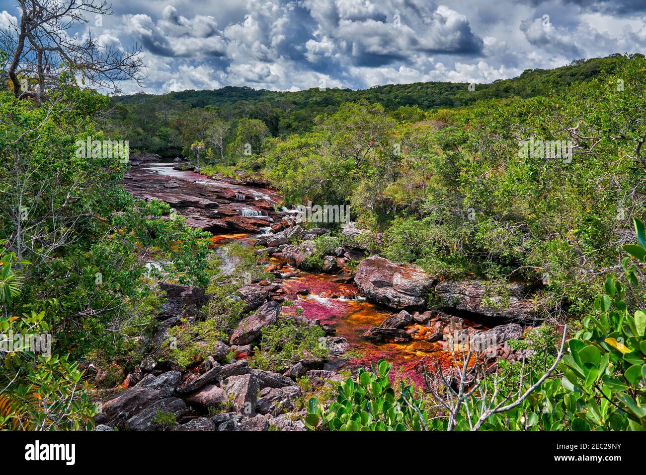 Cano Cristales called the "River of Five Colors" or the "Liquid Rainbow ...