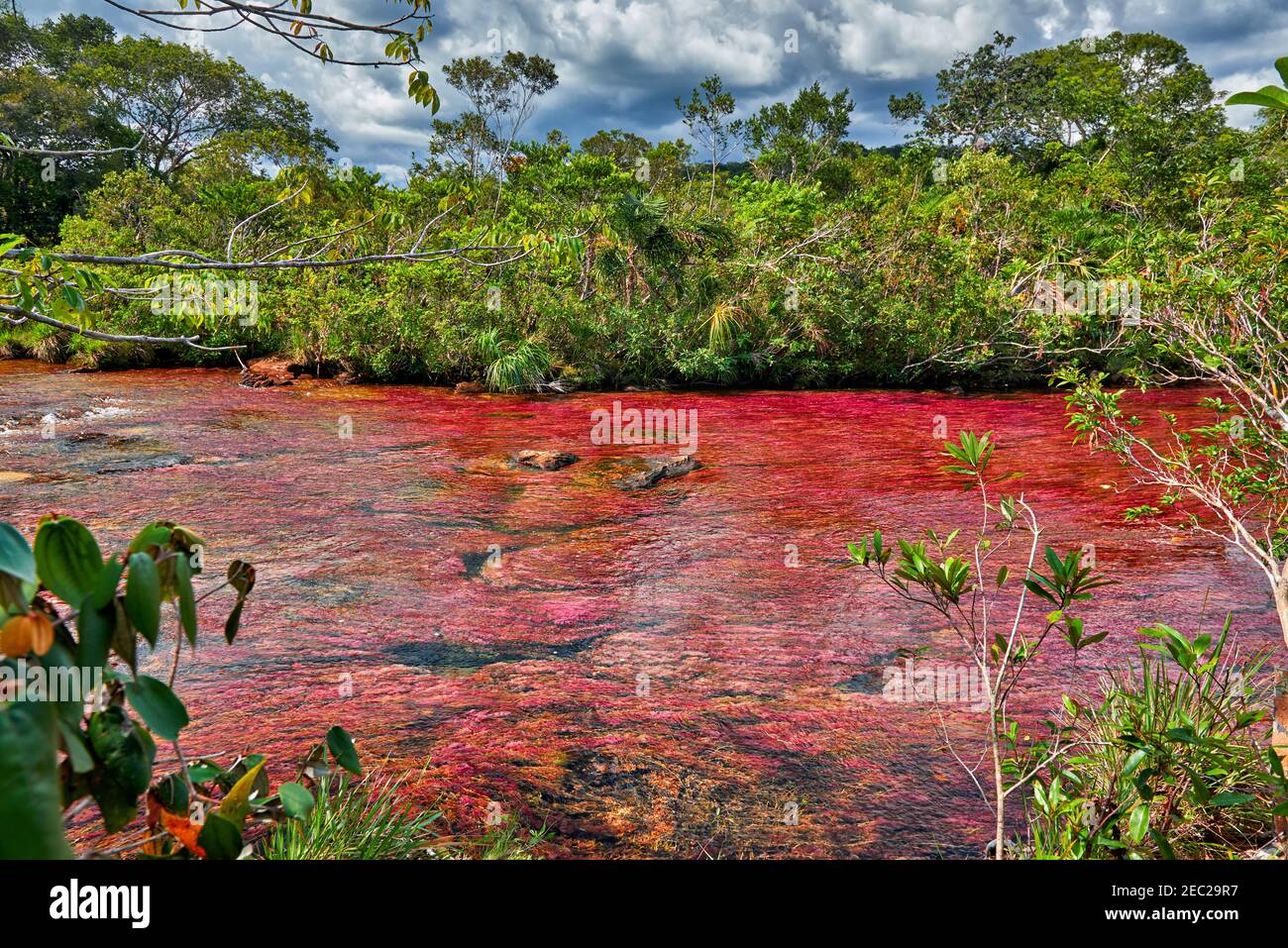 The River Of Five Colors