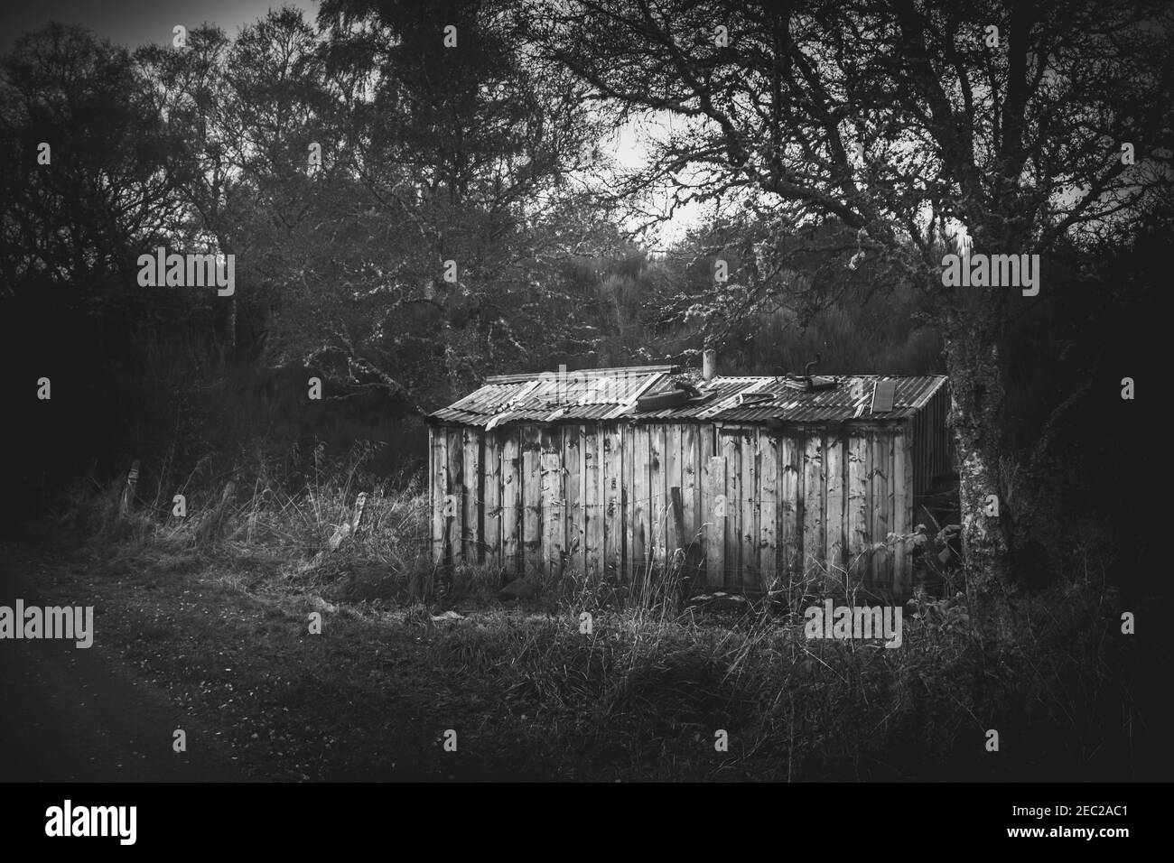 Ramshackle hut hi-res stock photography and images - Alamy