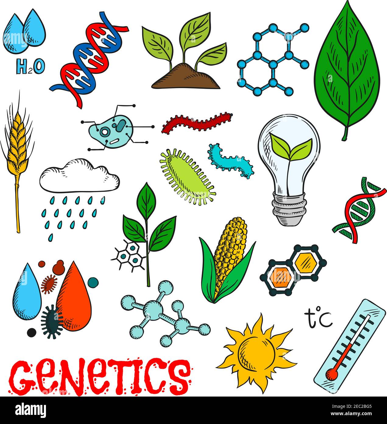 Genetic technologies in agriculture industry and science research ...