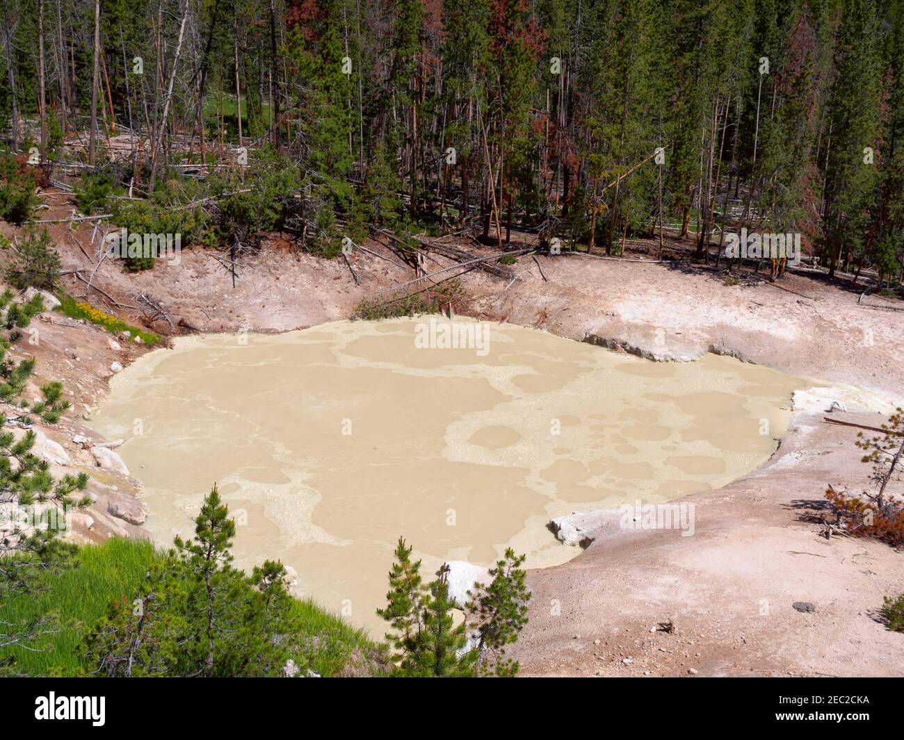 Sulphur Cauldron, Yellowstone National Park Stock Photo - Alamy