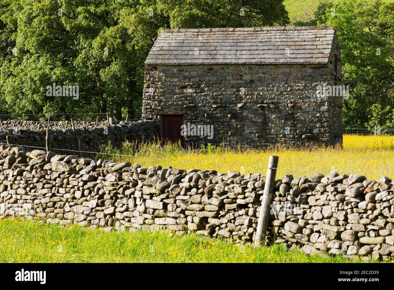 Stone barn and dry stone walls, Swaledale, Yorkshire Dales Stock Photo ...