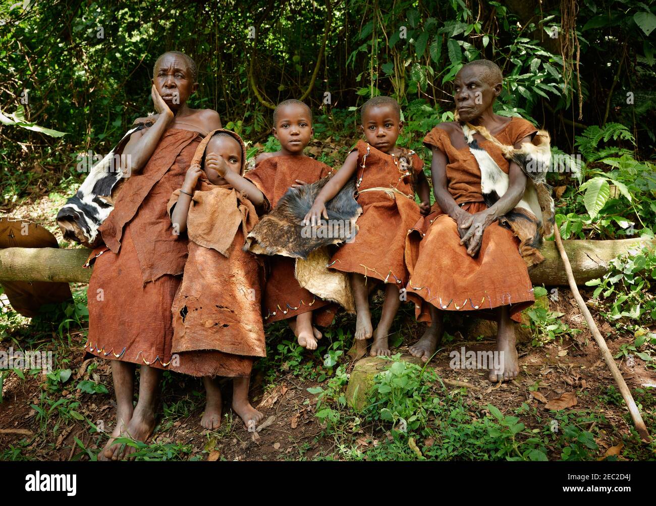 Pygmies hi-res stock photography and images - Alamy