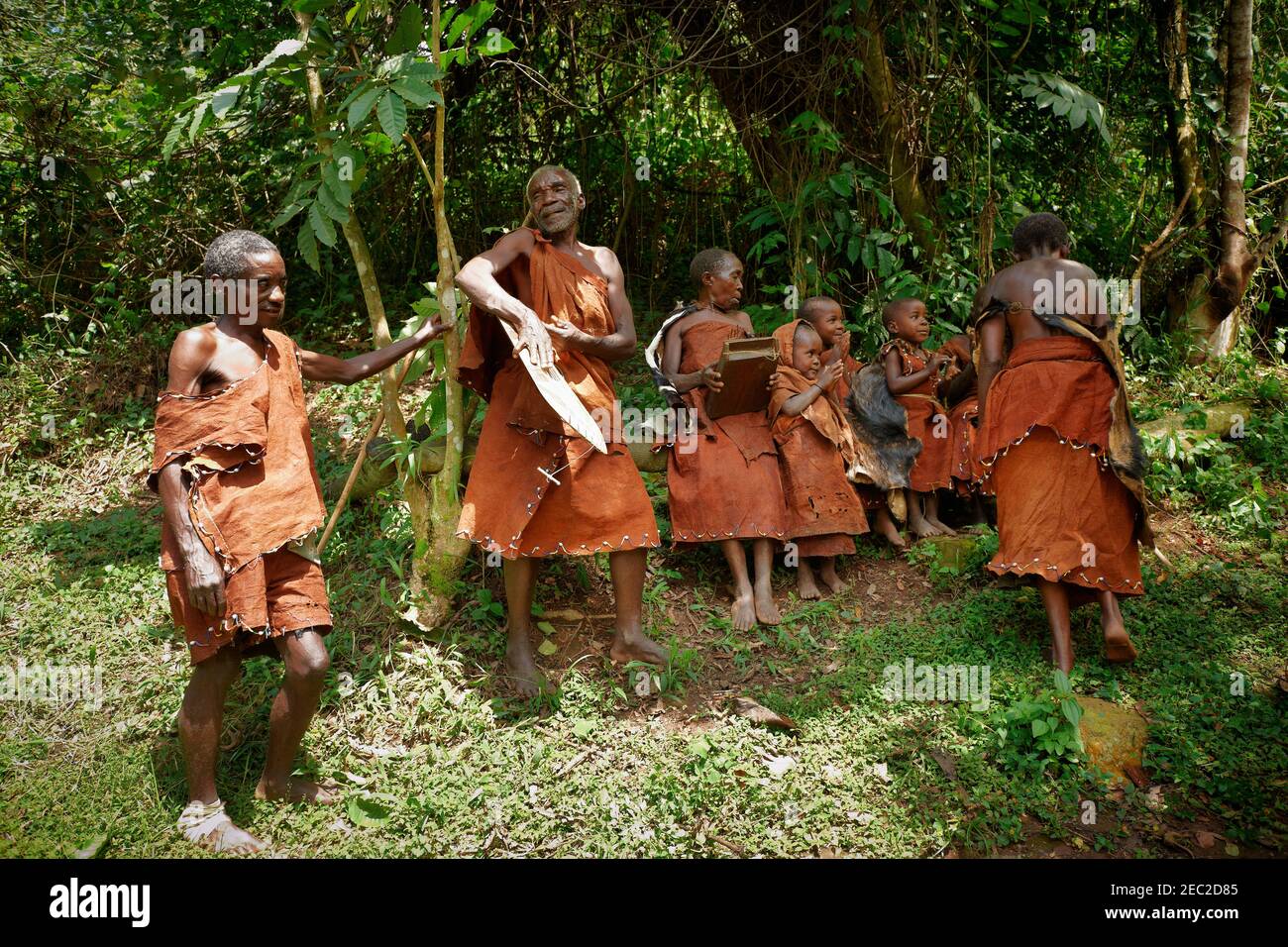 Batwa Pygmies, Bwindi Impenetrable National Park, Uganda, Africa Stock ...