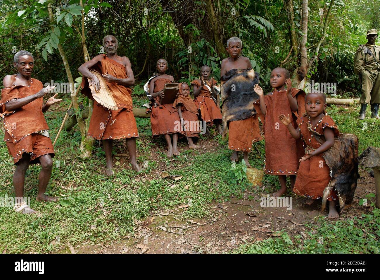 Batwa Pygmies, Bwindi Impenetrable National Park, Uganda, Africa Stock ...