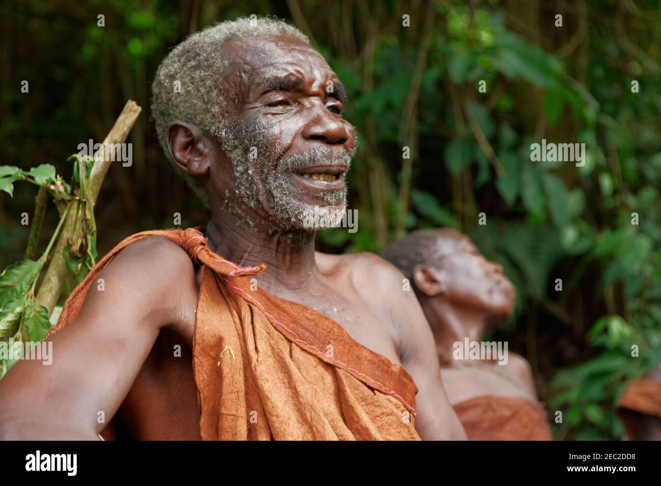 Batwa Pygmies, Bwindi Impenetrable National Park, Uganda, Africa Stock ...