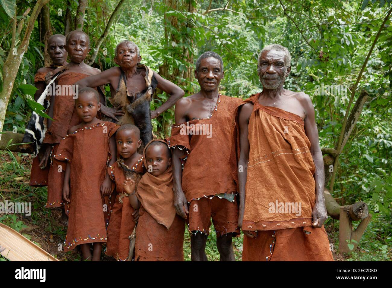 Batwa Pygmies, Bwindi Impenetrable National Park, Uganda, Africa Stock ...