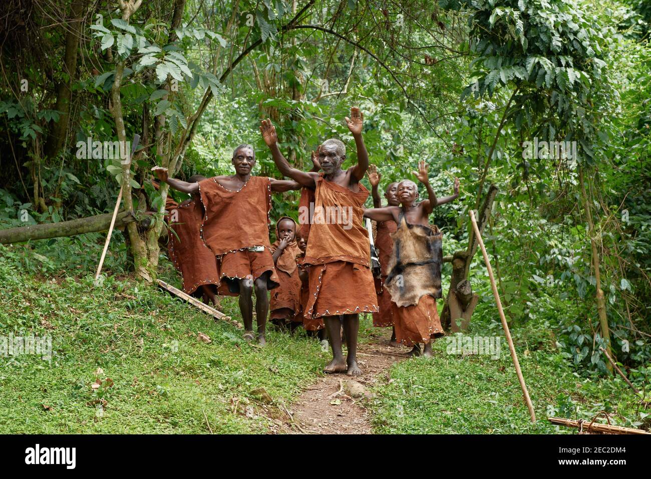 Batwa Pygmies, Bwindi Impenetrable National Park, Uganda, Africa Stock ...