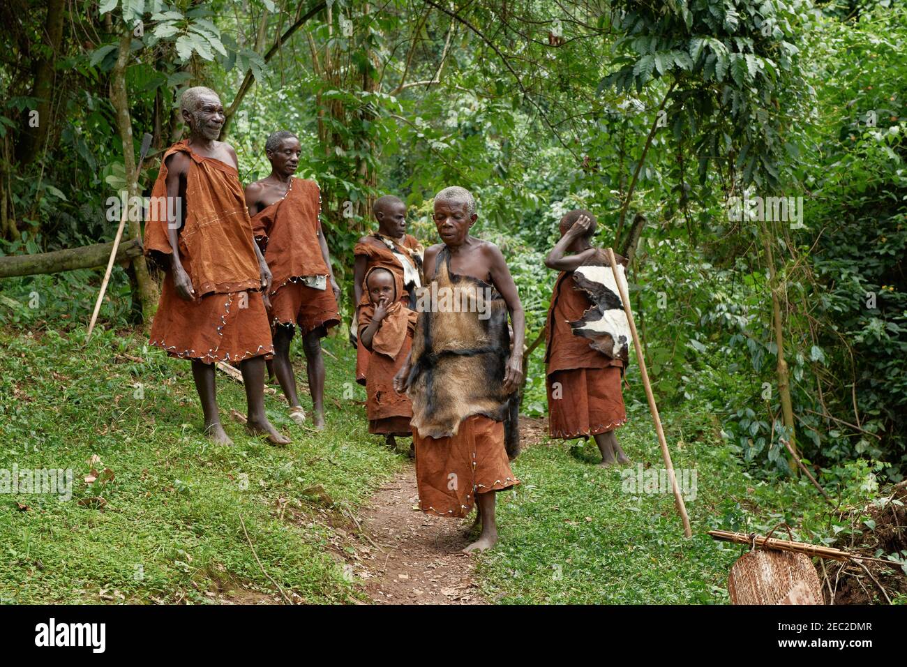 Batwa Pygmies, Bwindi Impenetrable National Park, Uganda, Africa Stock ...