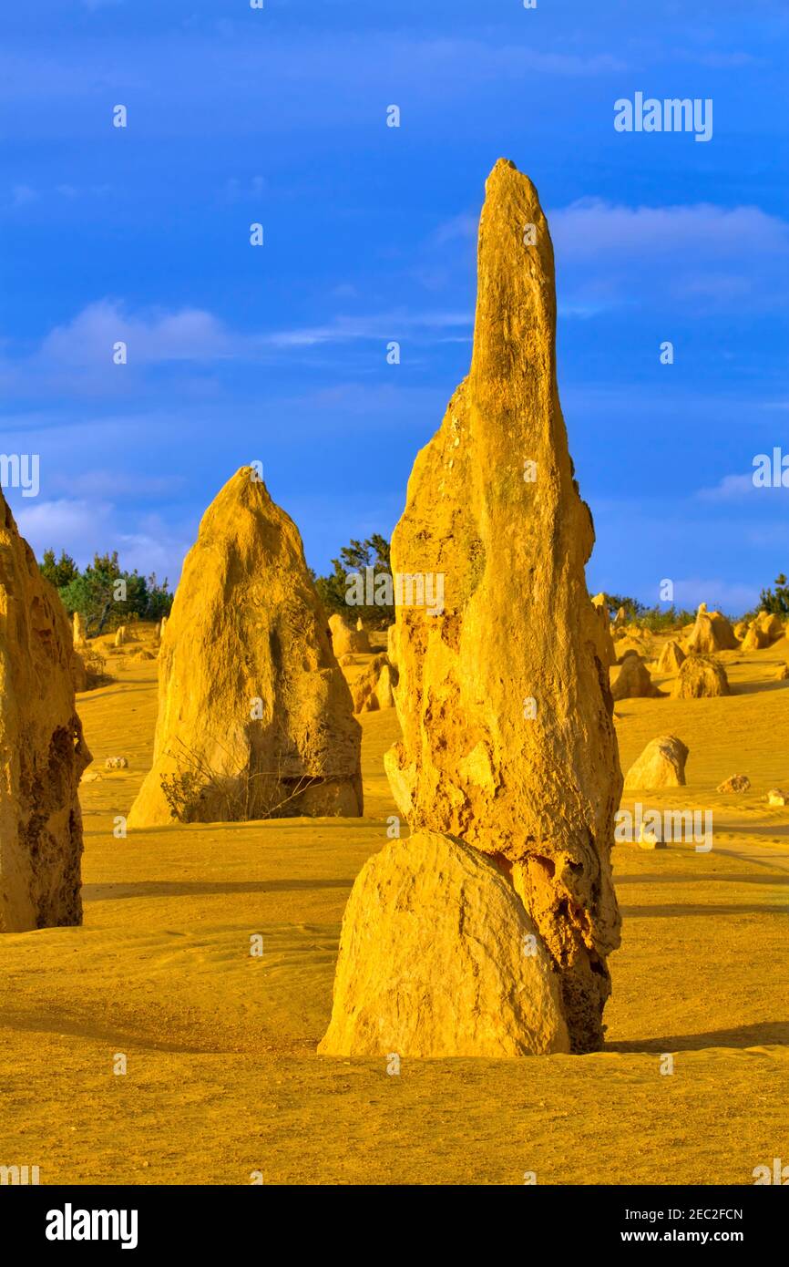 Nambung national park western australia hi-res stock photography and ...