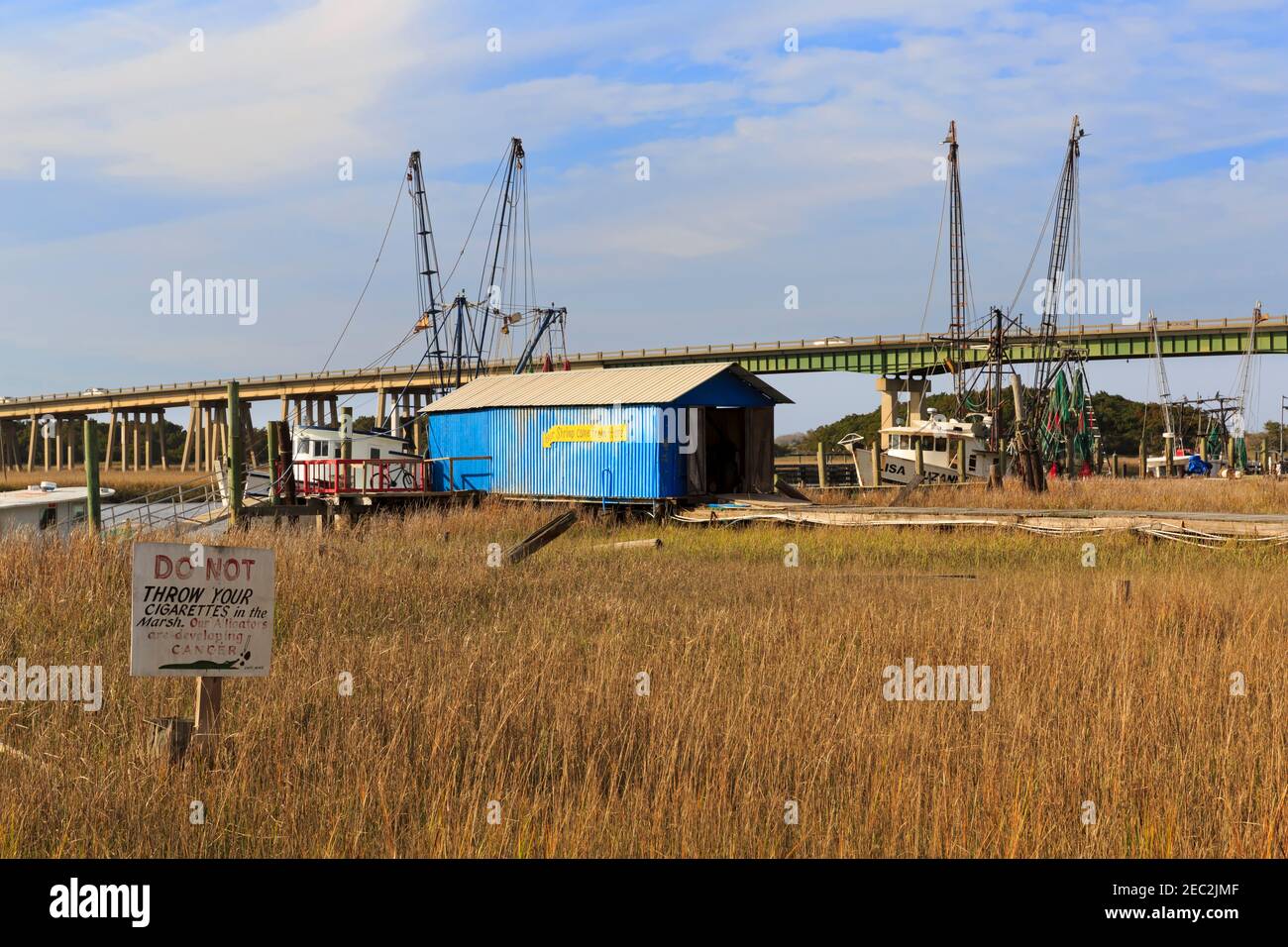Tybee island marsh hi-res stock photography and images - Alamy