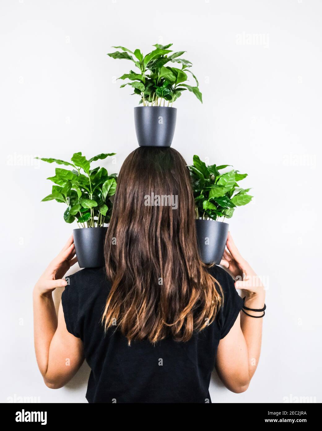 Vertical shot of a female holding various species of potted plants ...