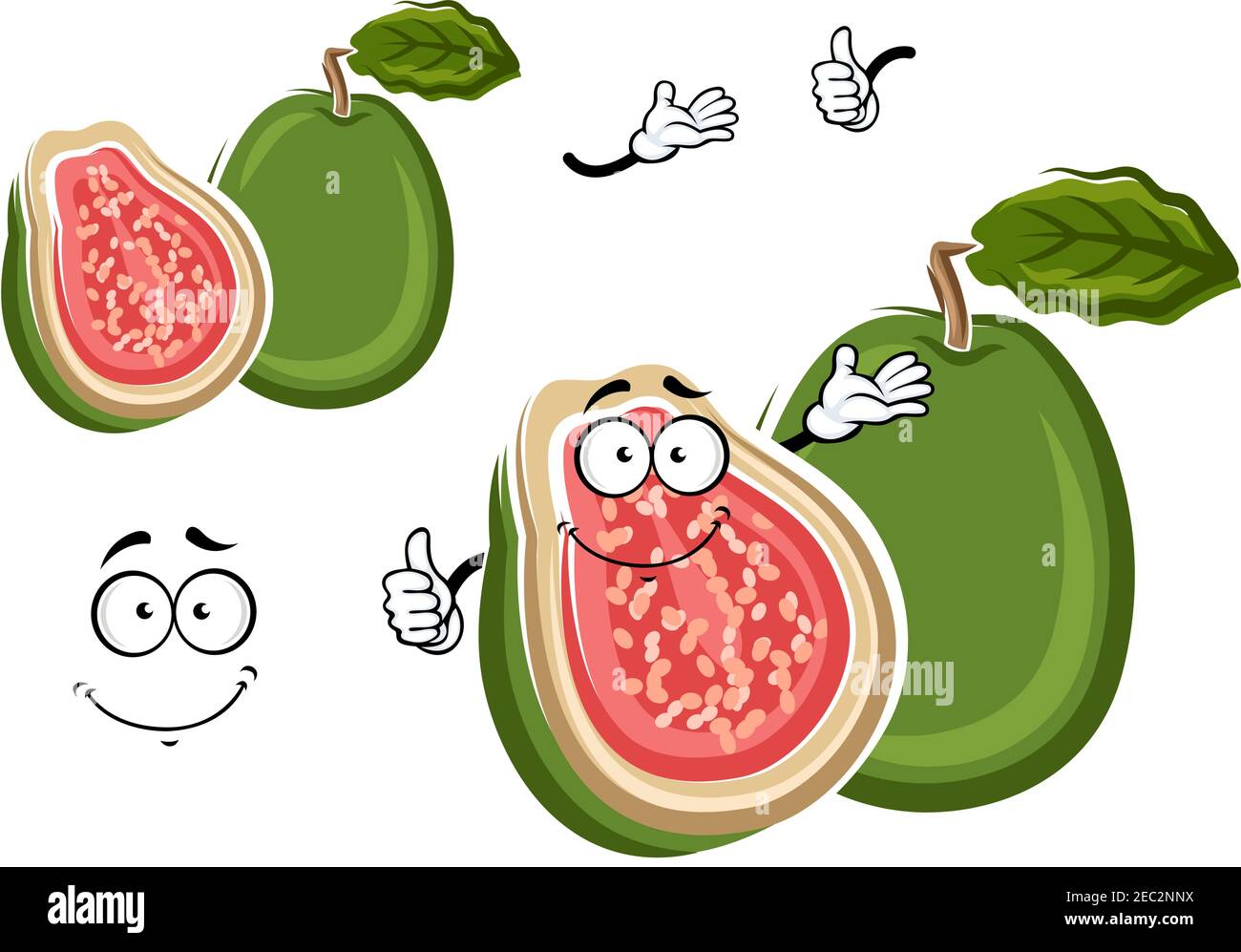 Juicy tropical apple guava fruit cartoon character with green rough ...