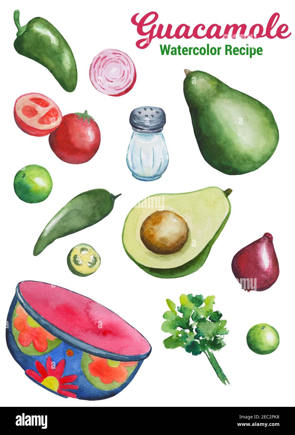 Guacamole ingredients handdrawn illustration. Vegetables and ...