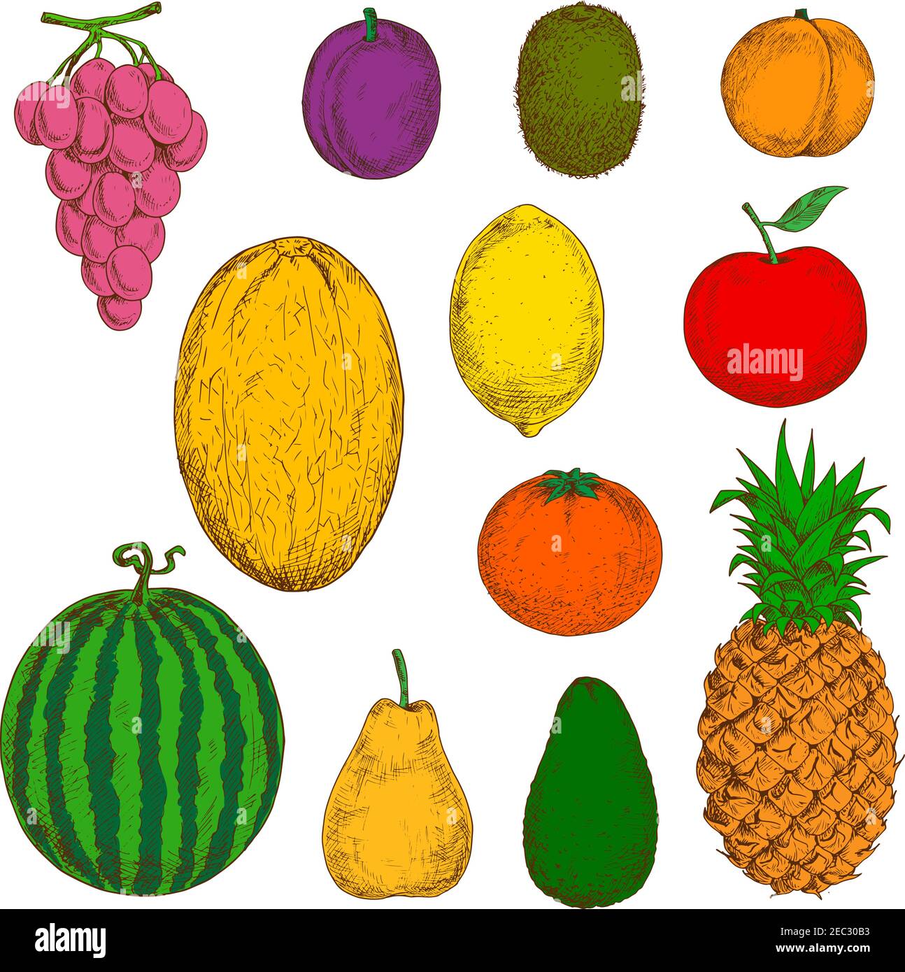 Ske Stock Vector Images - Alamy
