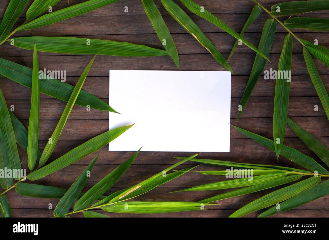 Bamboo leaf frame on rustic wooden background. Blank paper in bamboo ...