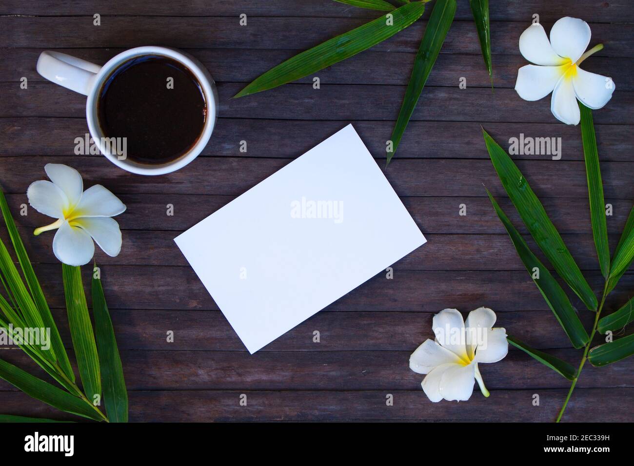 White paper and green bamboo flat lay. Blank card mockup with coffee ...