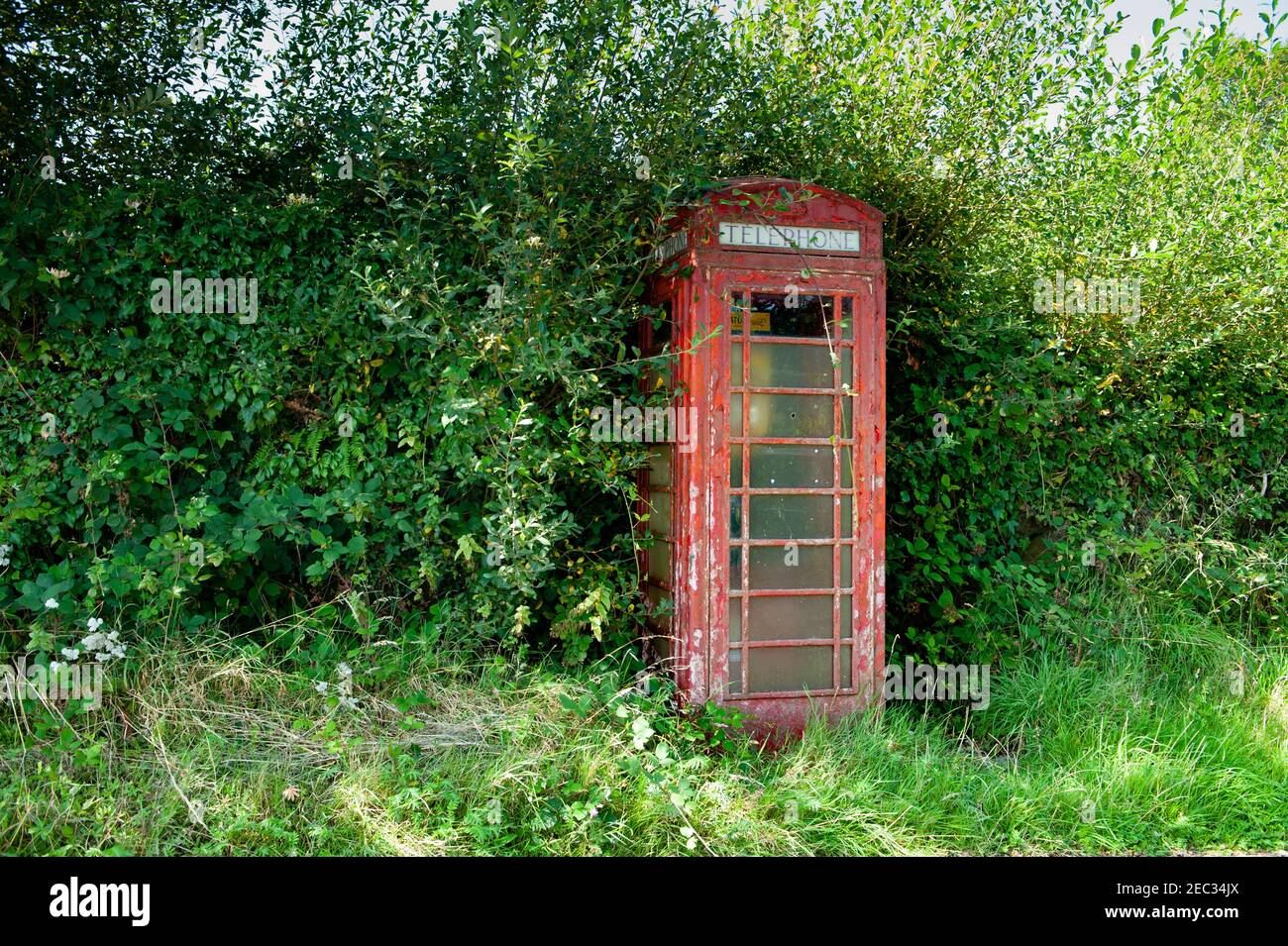 Traditional Red BT Telephone Box - Dartmoor, Devon Stock Photo - Alamy